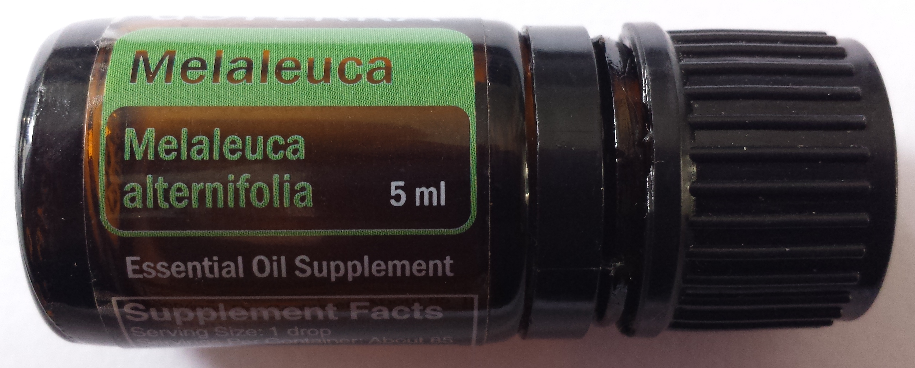 Tea Tree / Melaleuca Alternifolia essentiële olie - Enjoil